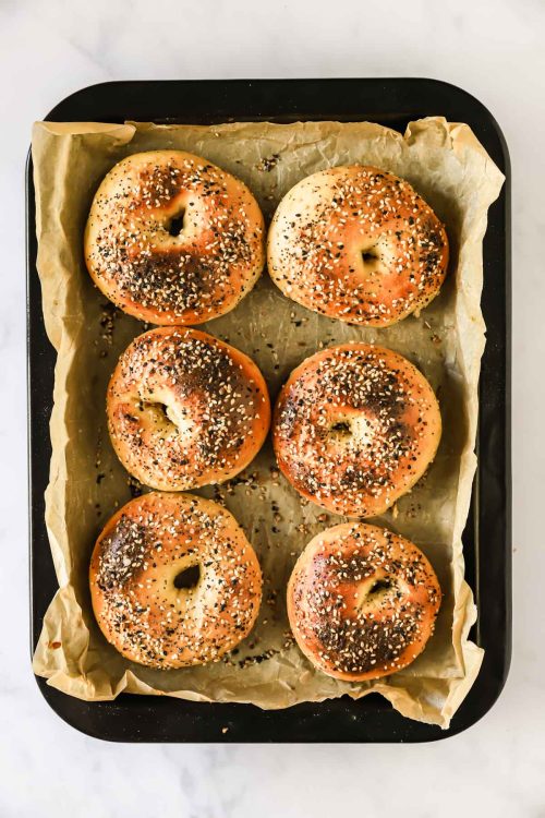 Easy High Protein Bagels (Only 5 Ingredients) - Lena's Kitchen